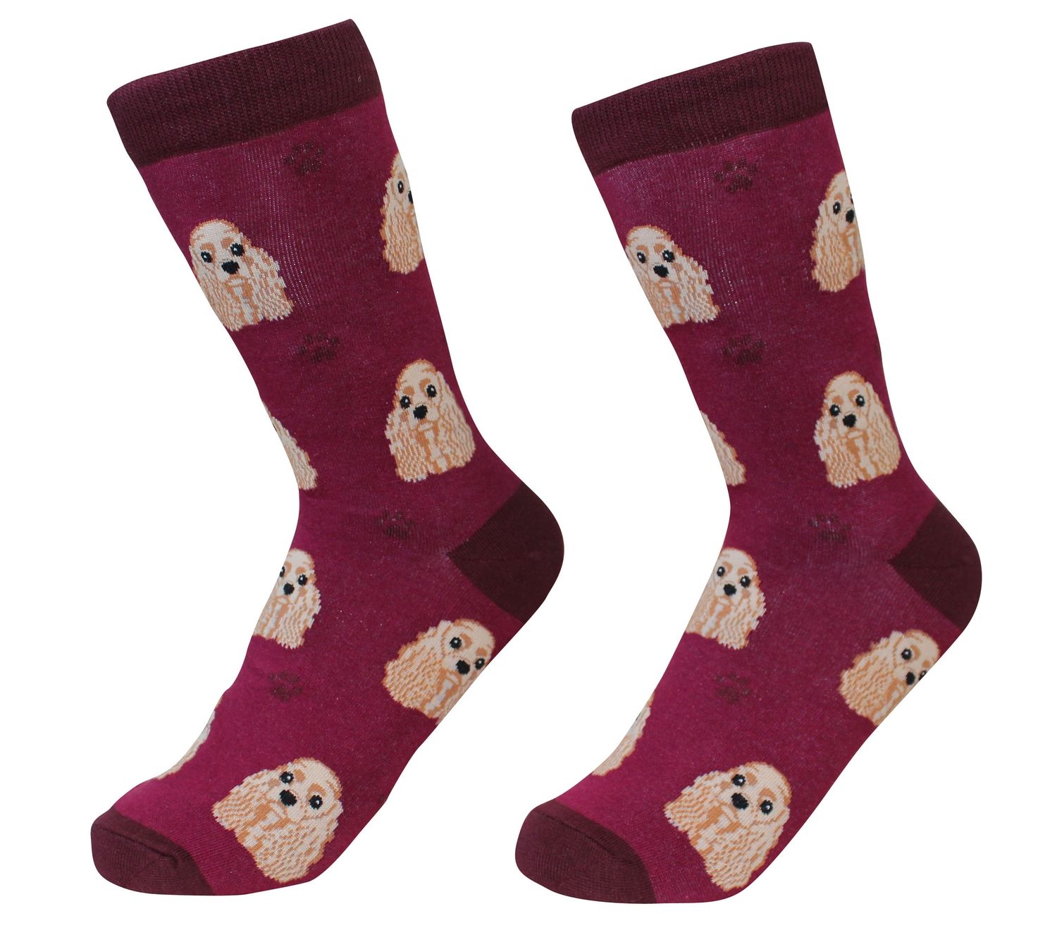 Buy Cocker Spaniel Socks by Sock Daddy – Pat's Monograms